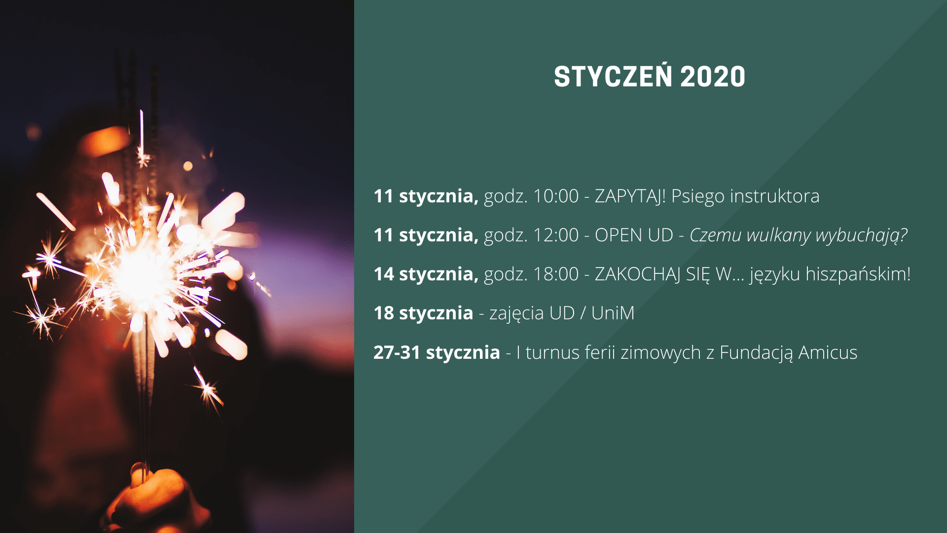 Plan na styczeń 2020 - Fundacja Amicus UNC